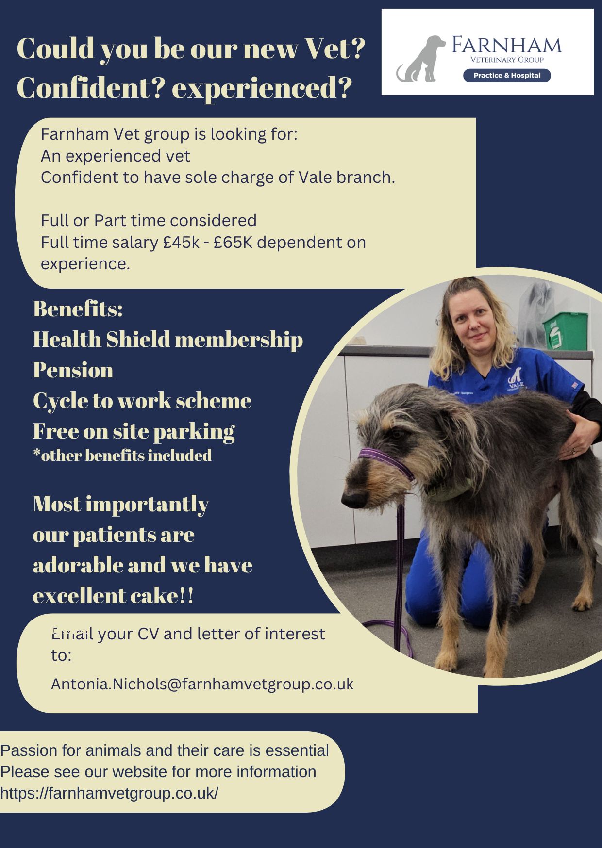 Veterinary Careers & Vacancies | Farnham Veterinary Group